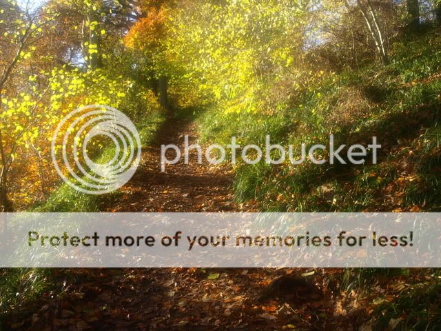 TR Walk along the river Eden from Wetheral Sat 10 Nov 12