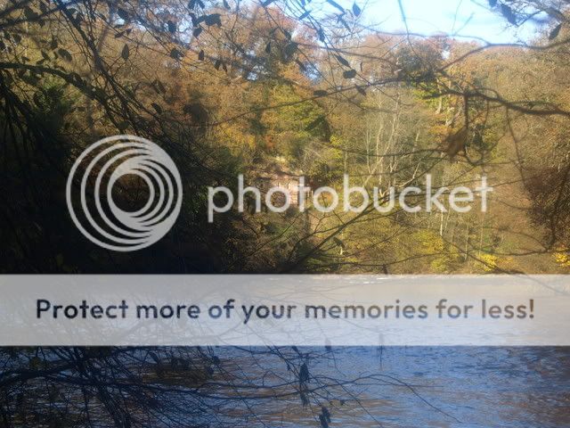 TR Walk along the river Eden from Wetheral Sat 10 Nov 12