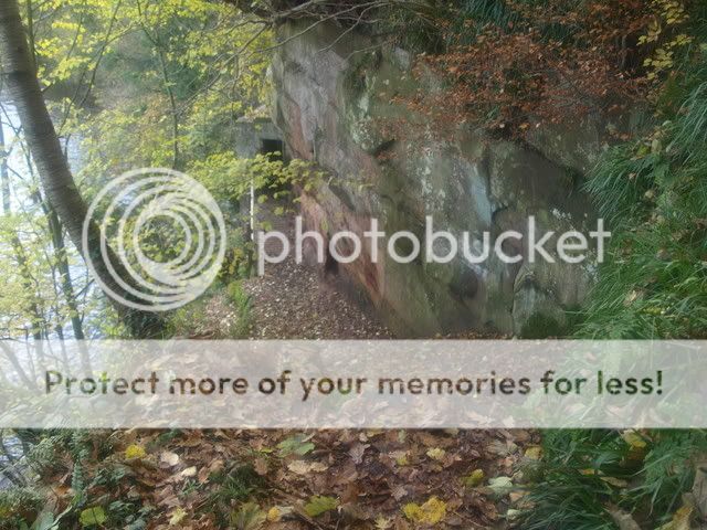 TR Walk along the river Eden from Wetheral Sat 10 Nov 12